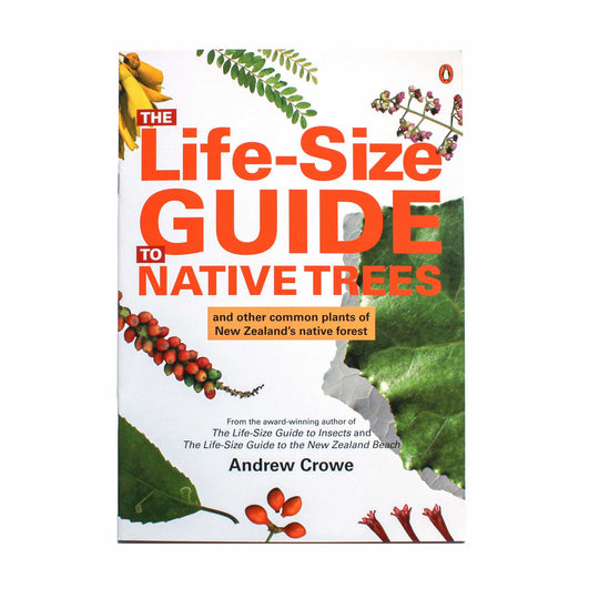 The Life-Size Guide to Native Trees – Te Hāpū o Puke Ariki | Puke Ariki ...