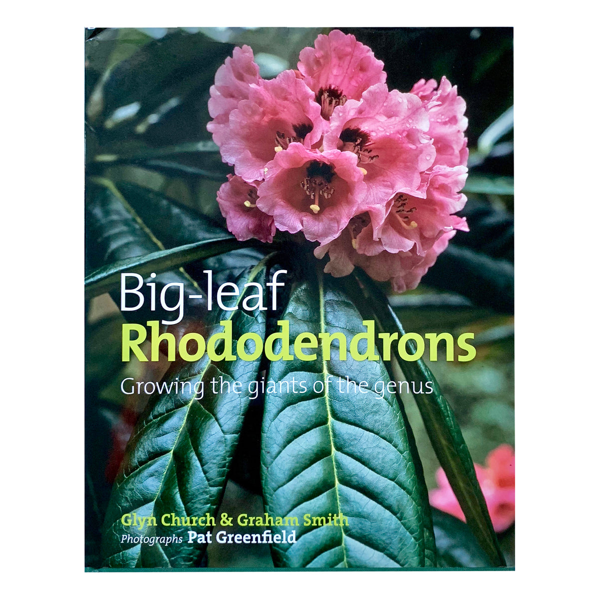Big Leaf Rhodendrons | Growing the Giants of a Genus – Te Hāpū o Puke ...